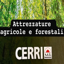 Cerri Srl